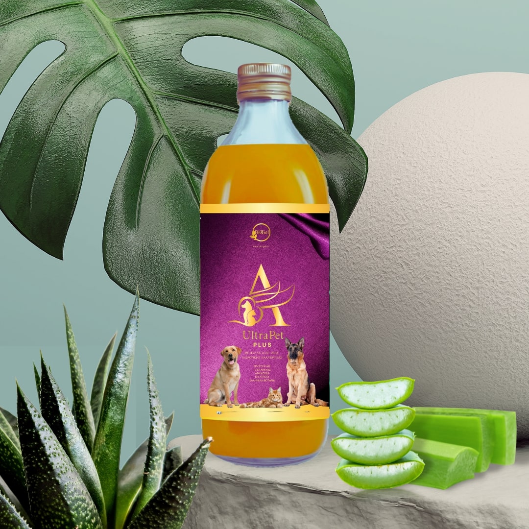 BioGel Innovation - H Καλύτερη Παγκοσμίως 100% Βιολογική Πόσιμη Αλόη ...